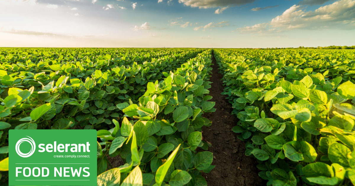 EU Commission Authorizes the Use of a Genetically Modified Soybean